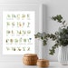 Australian Alphabet Nursery Wall Decor, Australian Animals Plants & Flowers Poster ABC Aussie ...