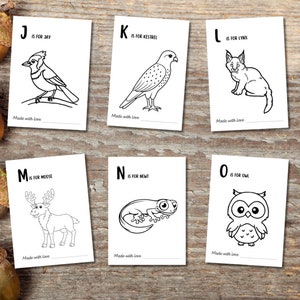 Woodland Animals ABC Colouring Book, Baby Shower Alphabet ABC Printable ...