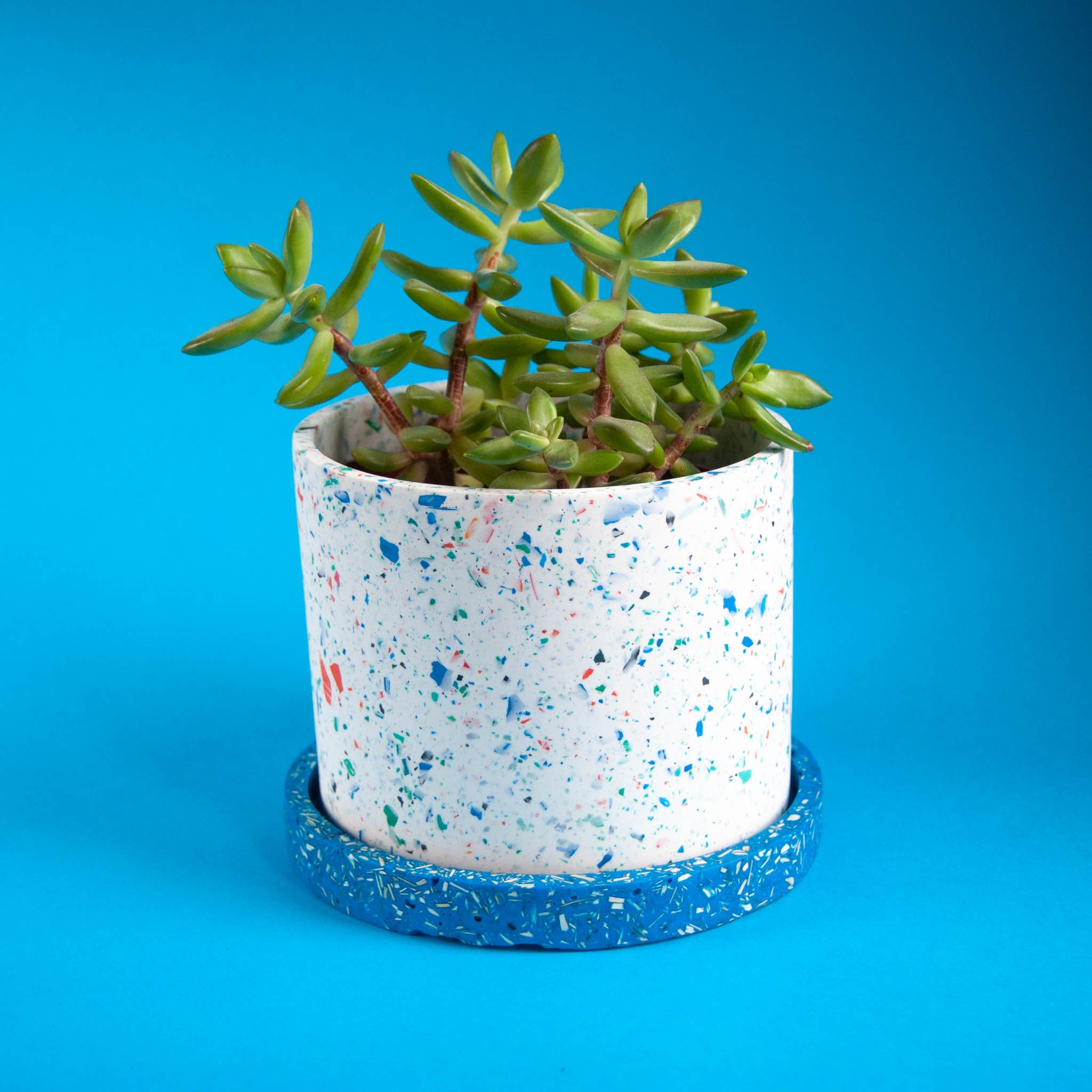 Terrazzo Plant Pot Hand Made From Eco Friendly Materials - Etsy