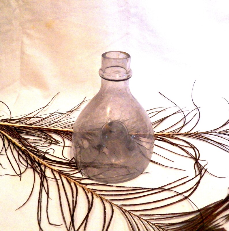 Catch Insect Blown Glass Trap Fly Catcher Agricultural | Etsy