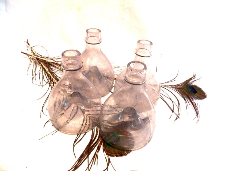 Catch Insect Blown Glass Trap Fly Catcher Agricultural | Etsy
