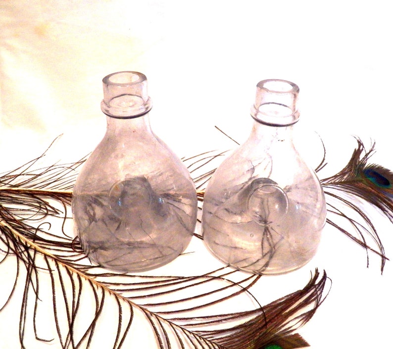 Catch Insect Blown Glass Trap Fly Catcher Agricultural | Etsy
