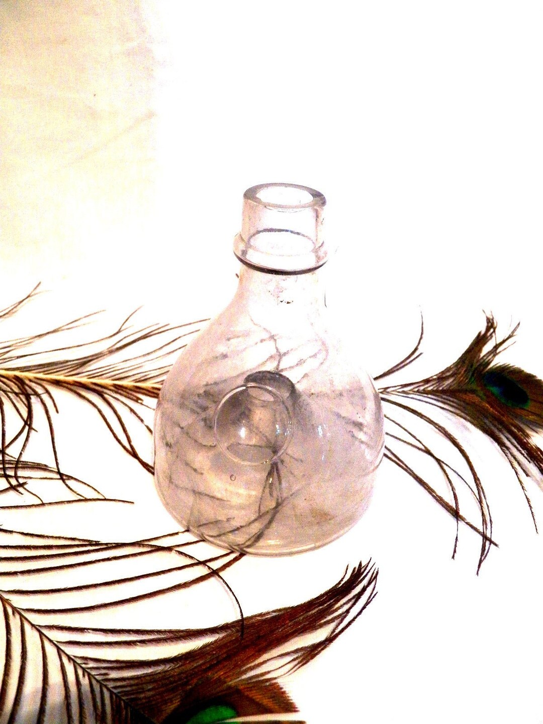 Catch Insect, Blown Glass Trap, Fly Catcher, Agricultural Glass Bottle ...