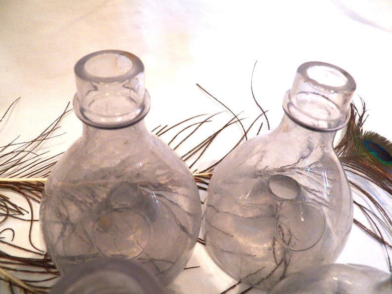 Catch Insect Blown Glass Trap Fly Catcher Agricultural | Etsy