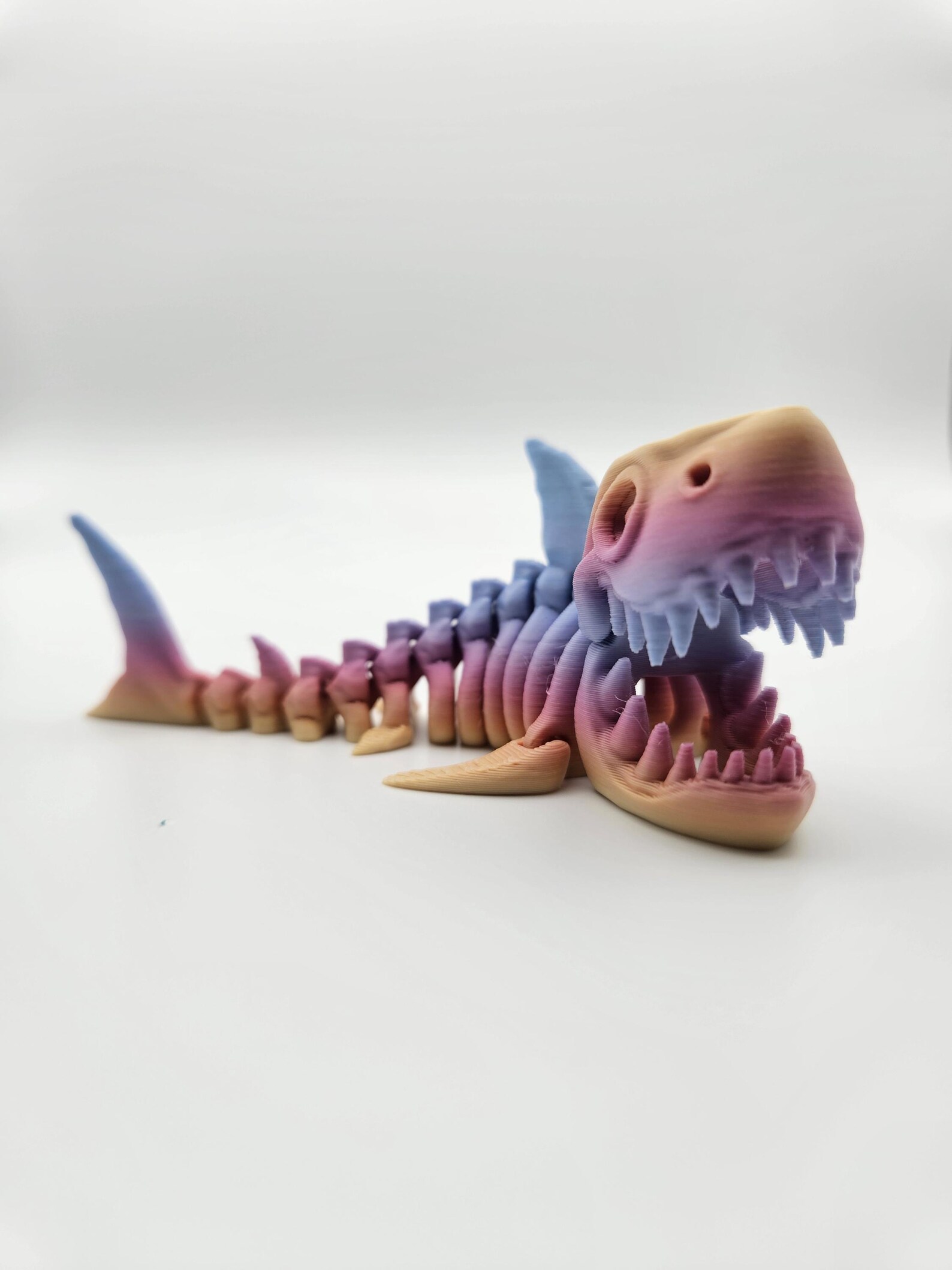 Rainbow Skeleton Shark | 3D Printed Articulating Flexi Fidget - Etsy