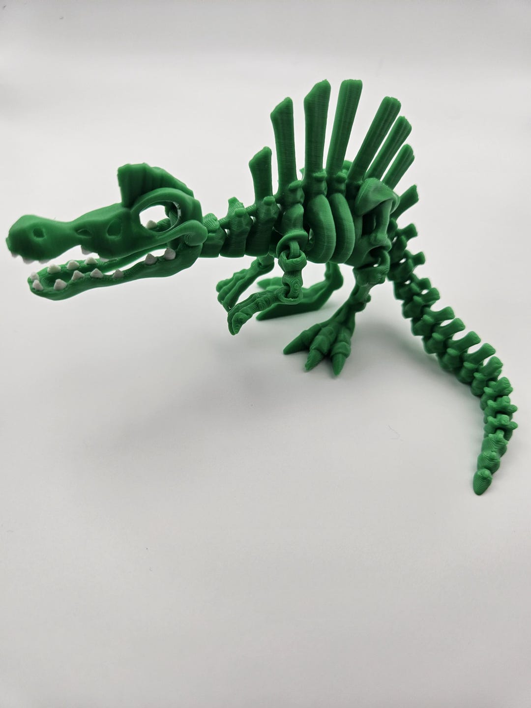 Skeleton Spinosaurus | 3D Printed Articulating Flexi Fidget - Etsy
