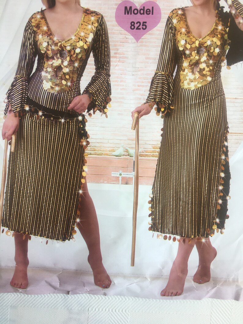 Egyptian New Belly Dance Dress Saidi Belly Dance | Etsy