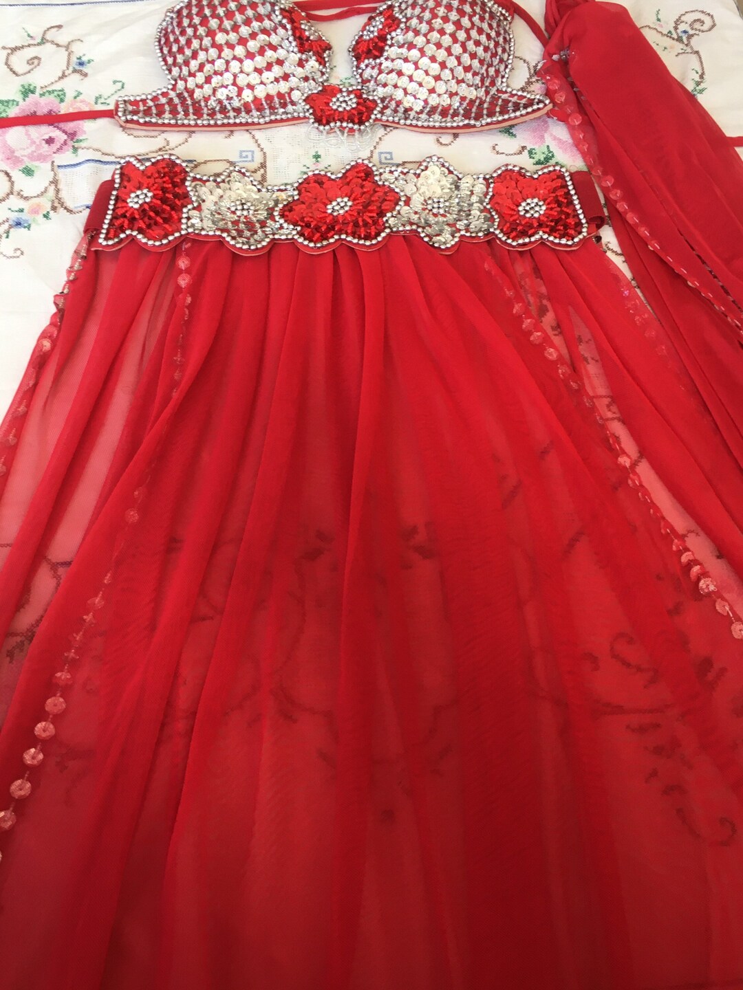 Egyptian Sexy Red Belly Dance Costume, Handmade Embroidered Bellydance ...