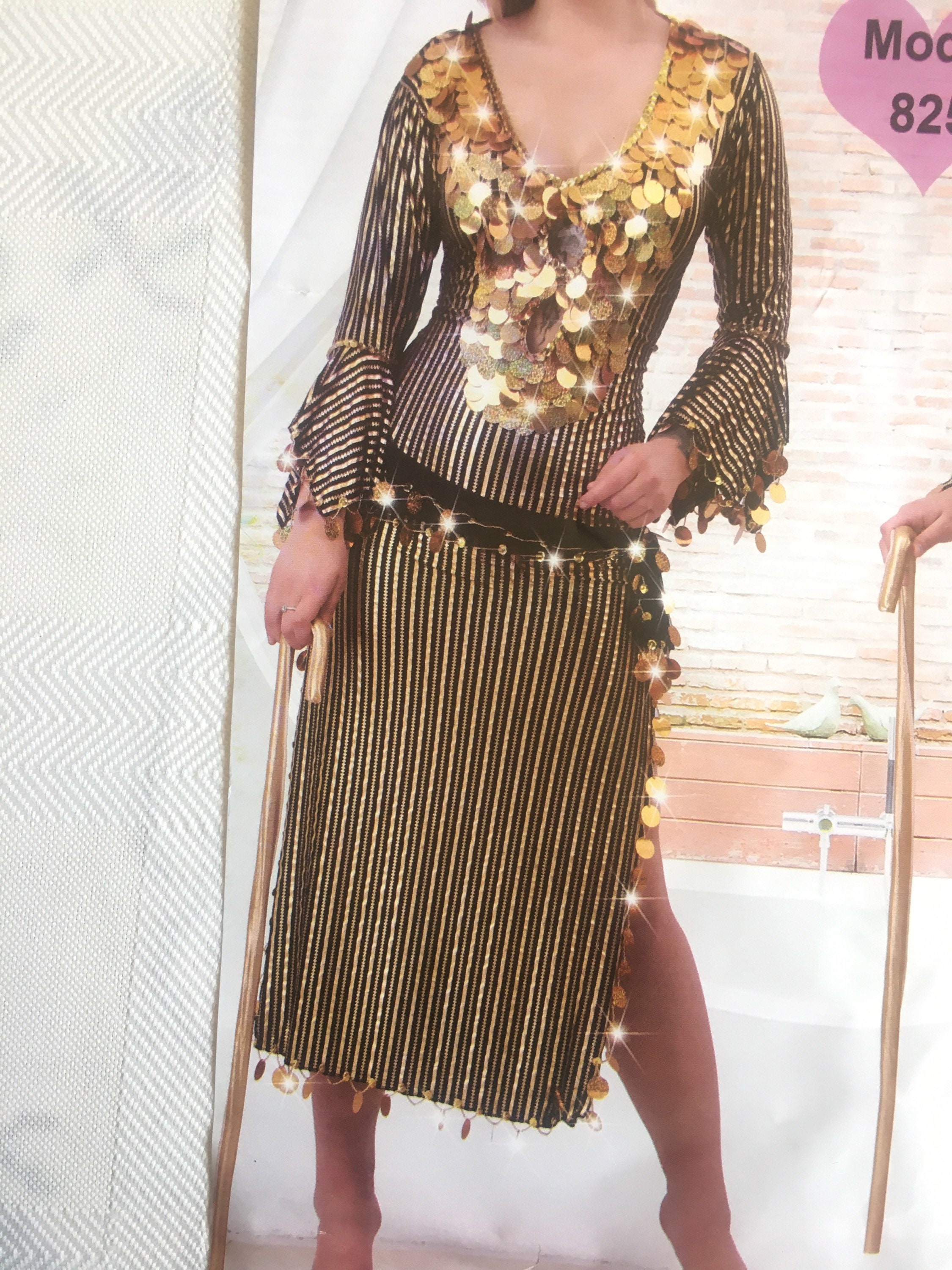 Egyptian New Belly Dance Dress Saidi Belly Dance | Etsy