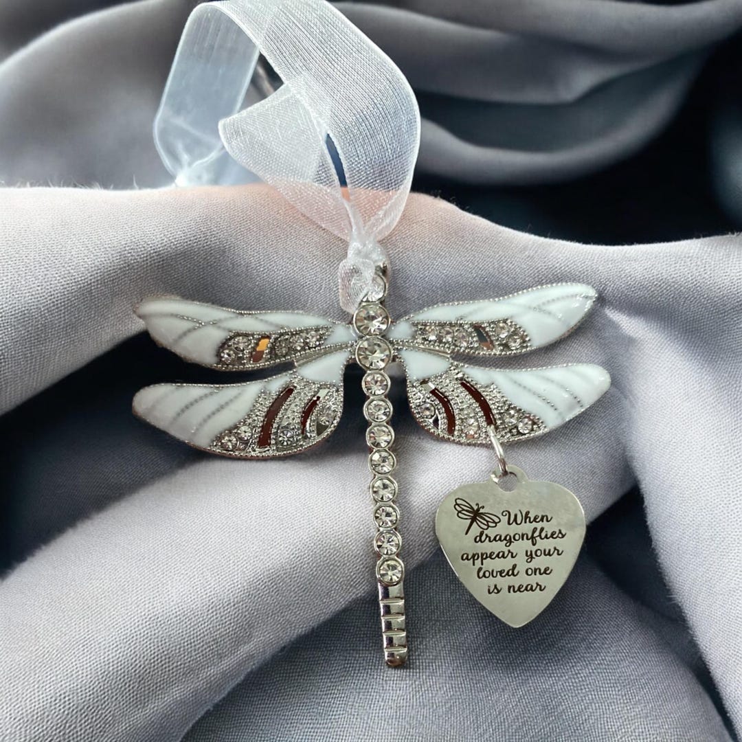 When Dragonflies Appear Your Loved One is Near | Dragonfly From Heaven ...