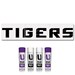 LSU TIGERS Stencil XL Includes Paint - Etsy