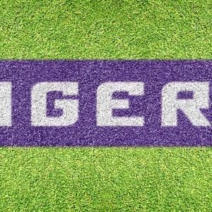 LSU TIGERS Stencil - XL Includes Paint - Etsy