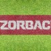 Arkansas razorbacks Lawn Stencil Including Paint - Etsy