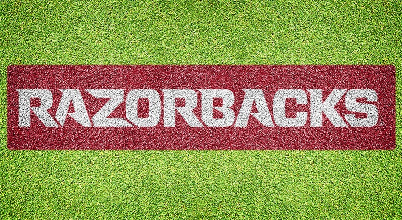 Arkansas razorbacks Lawn Stencil Including Paint - Etsy