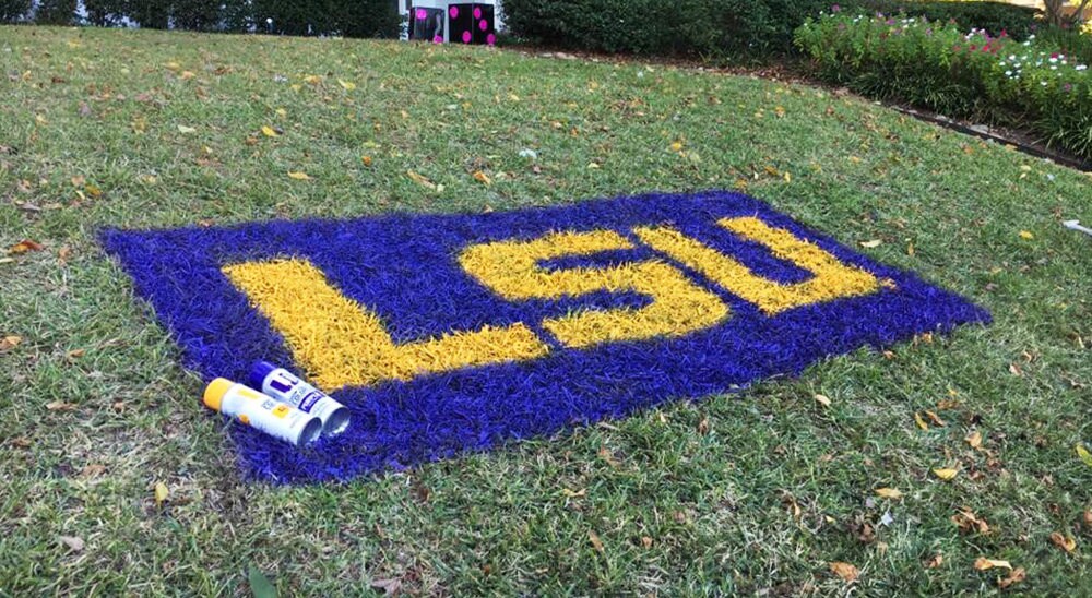 Louisiana State University LSU Stencil XL Includes Paint | Etsy