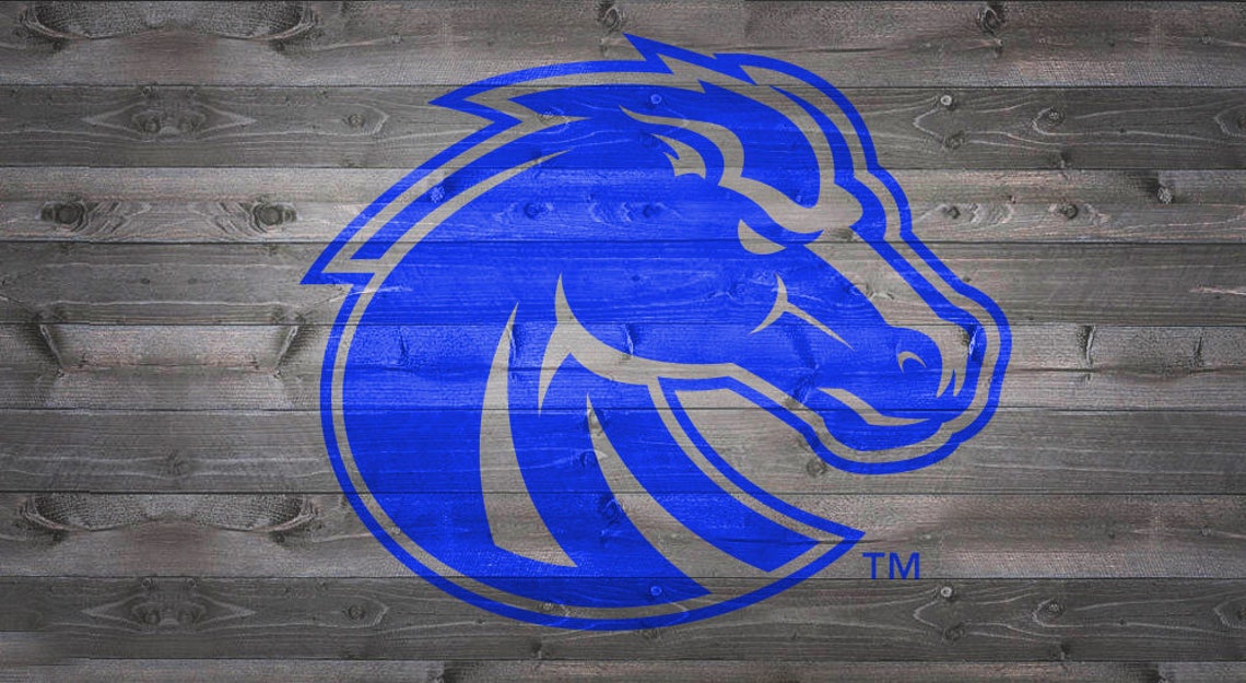 BOISE STATE BRONCO Tailgater Stencil Includes Paint - Etsy