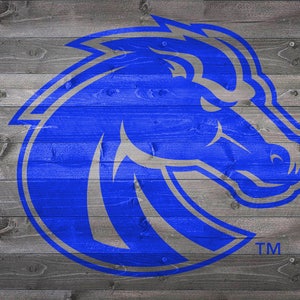 BOISE STATE BRONCO – Tailgater Stencil Includes Paint - Etsy