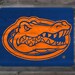 FLORIDA GATOR HEAD Stencil Kit the Tailgater - Etsy