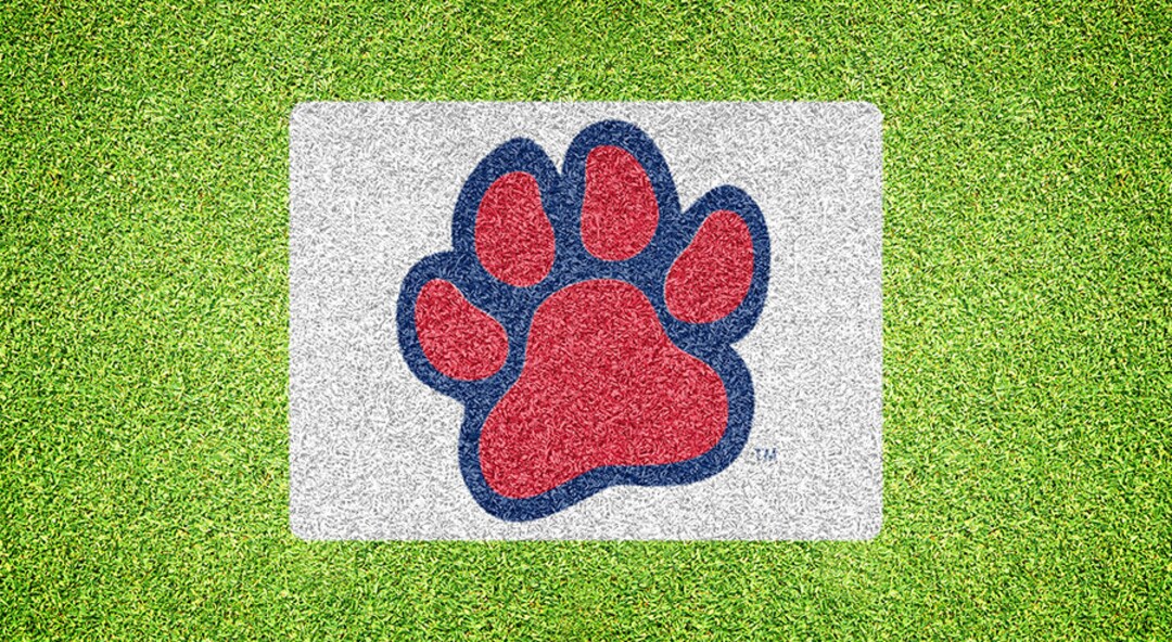 Fresno State Paw Lawn Stencil Including Paint - Etsy