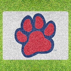 Fresno State Paw – Lawn Stencil Including Paint - Etsy