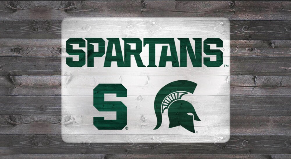 MICHIGAN STATE SPARTANS Stencil Kit The Tailgater | Etsy