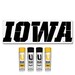 IOWA Lettering Lawn Stencil Including Paint - Etsy