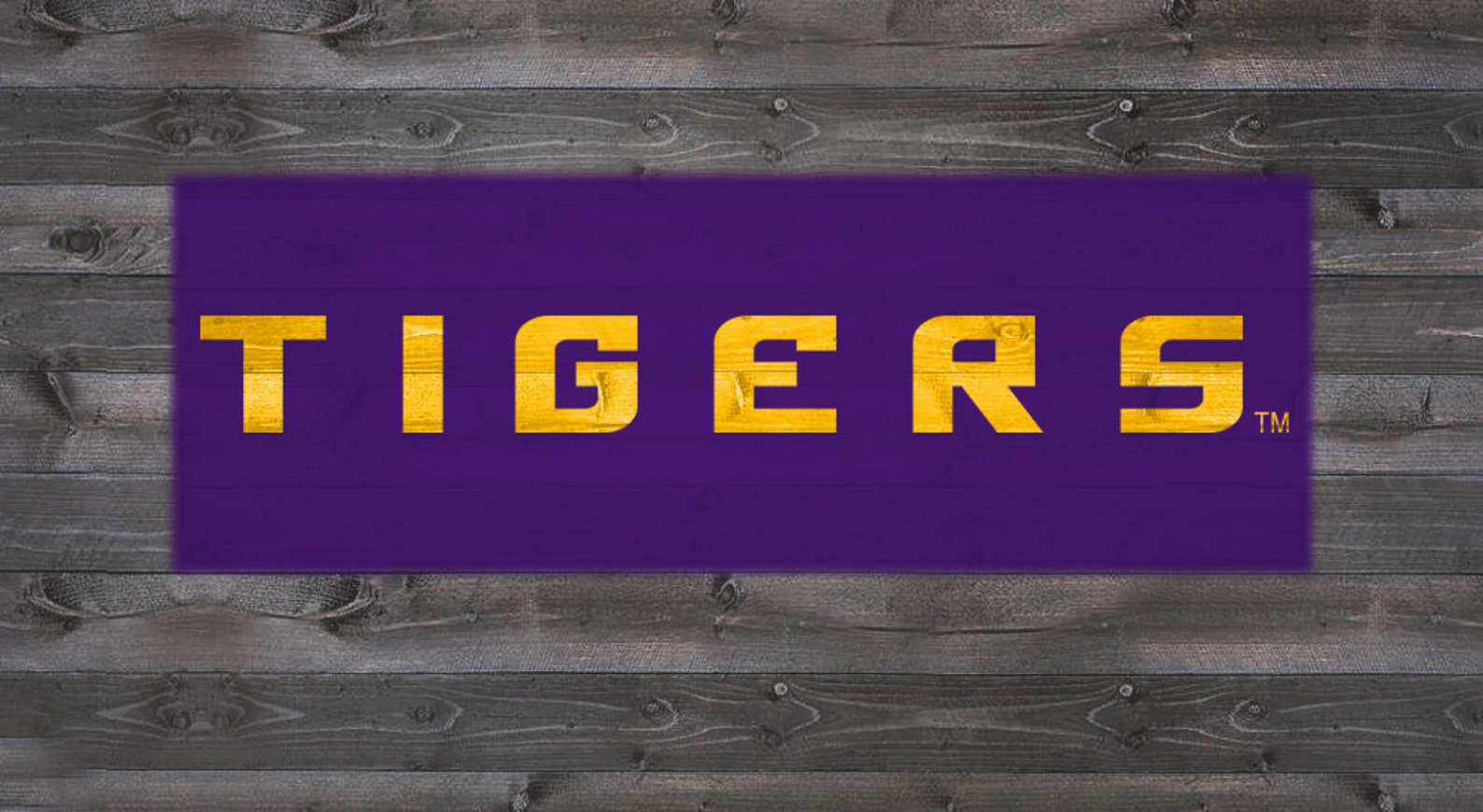 LSU TIGERS Tailgater Stencil Kit | Etsy