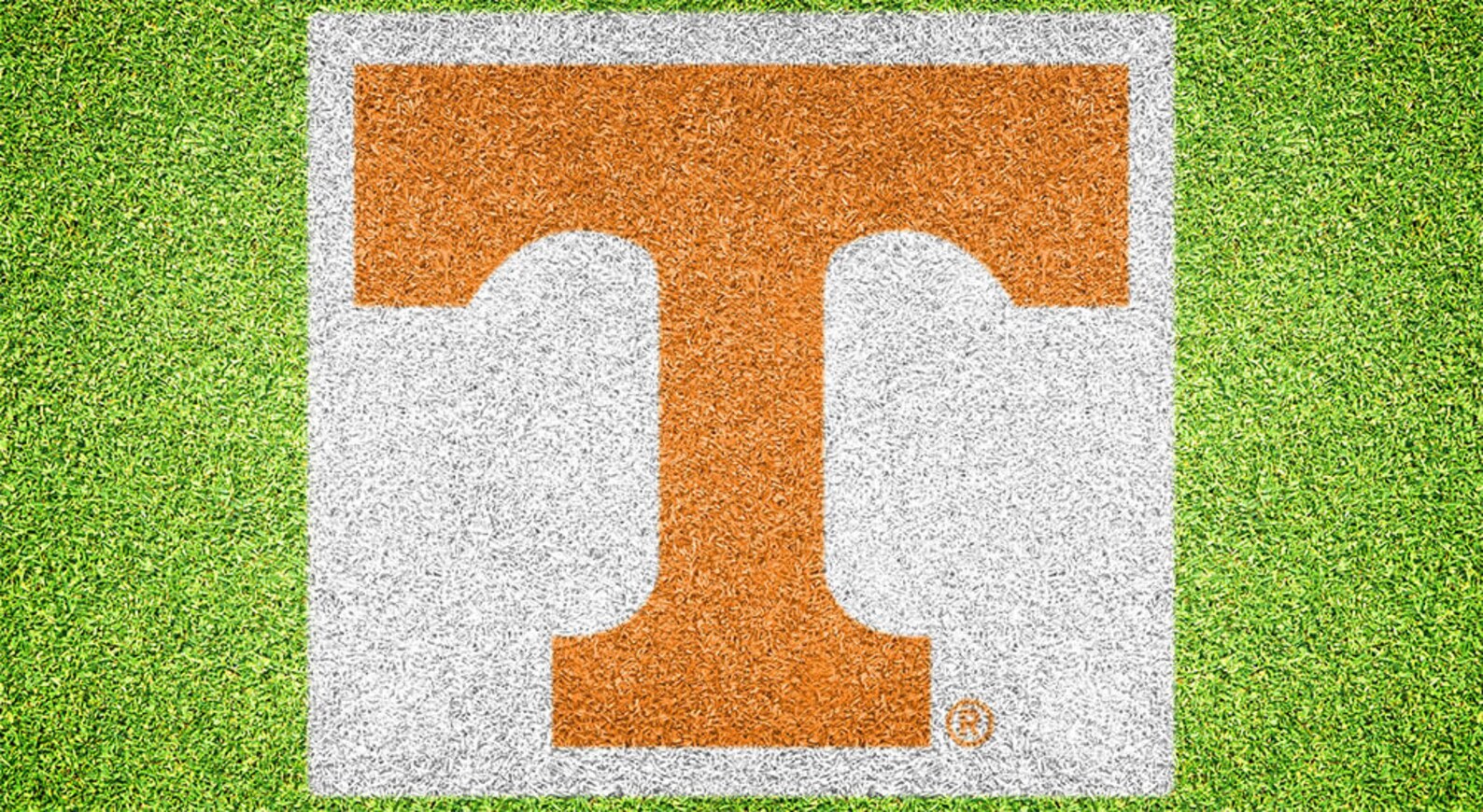 Tennessee T Lawn Stencil Includes Paint - Etsy