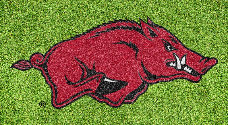 Arkansas Tusk Lawn Stencil Including Paint | Etsy