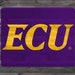 EAST CAROLINA ECU Tailgater Stencil Kit - Etsy