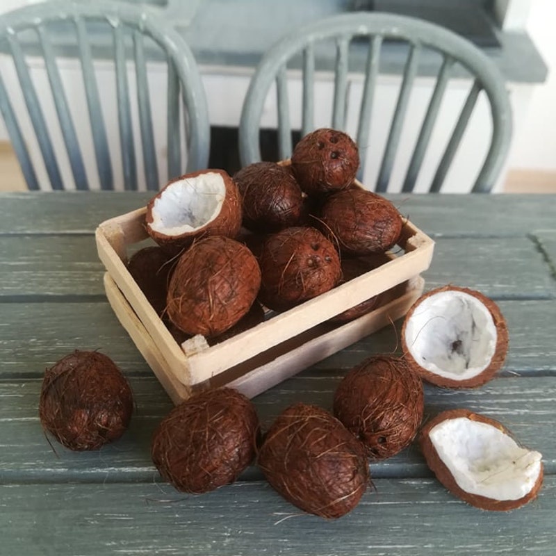Coconut Food Props - Etsy