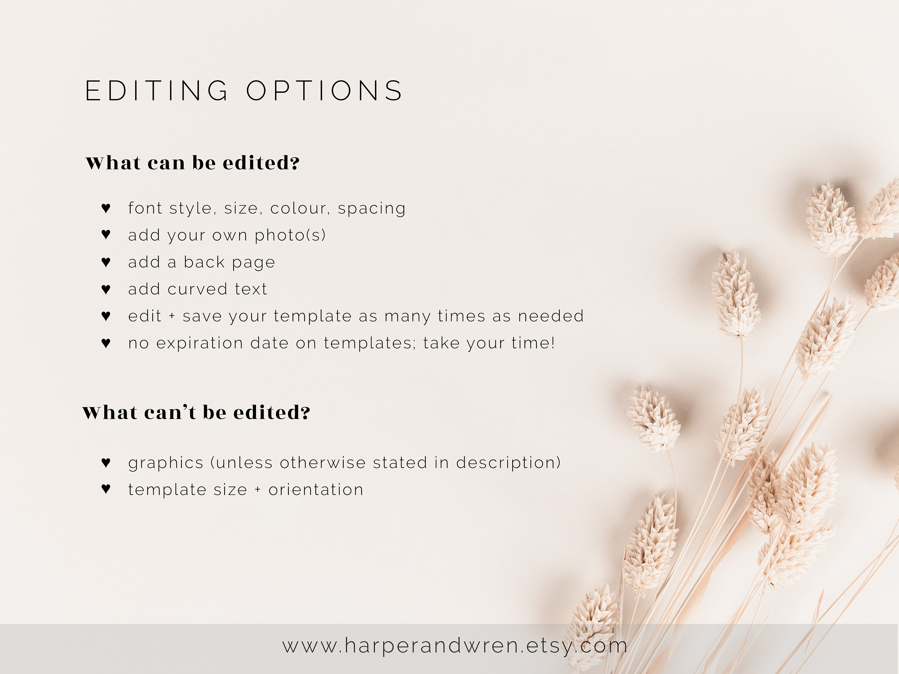 Editable Cleaning Checklist Modern Cleaning Checklist | Etsy