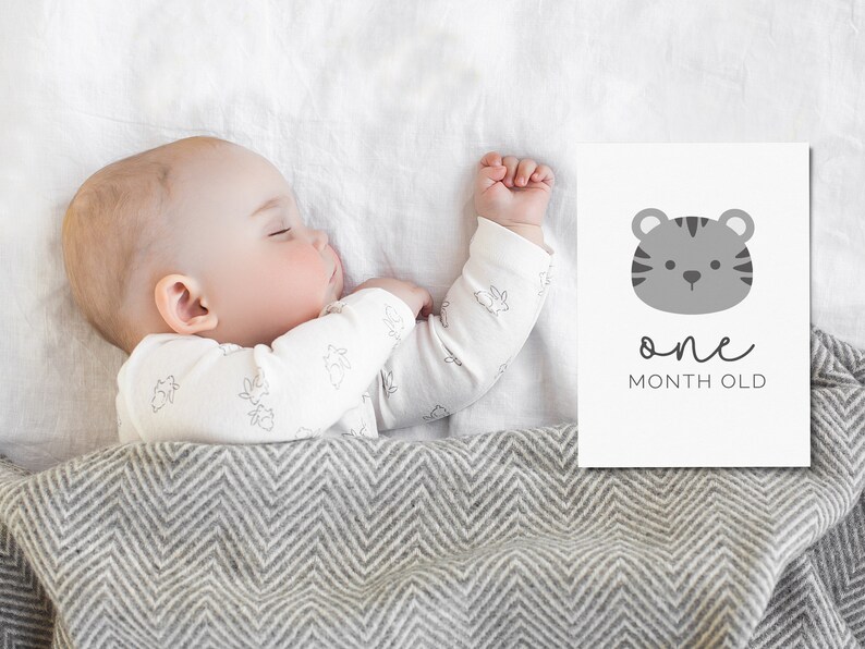 Baby Milestone Cards | Cute Animal Milestone Cards | Minimal Milestone ...