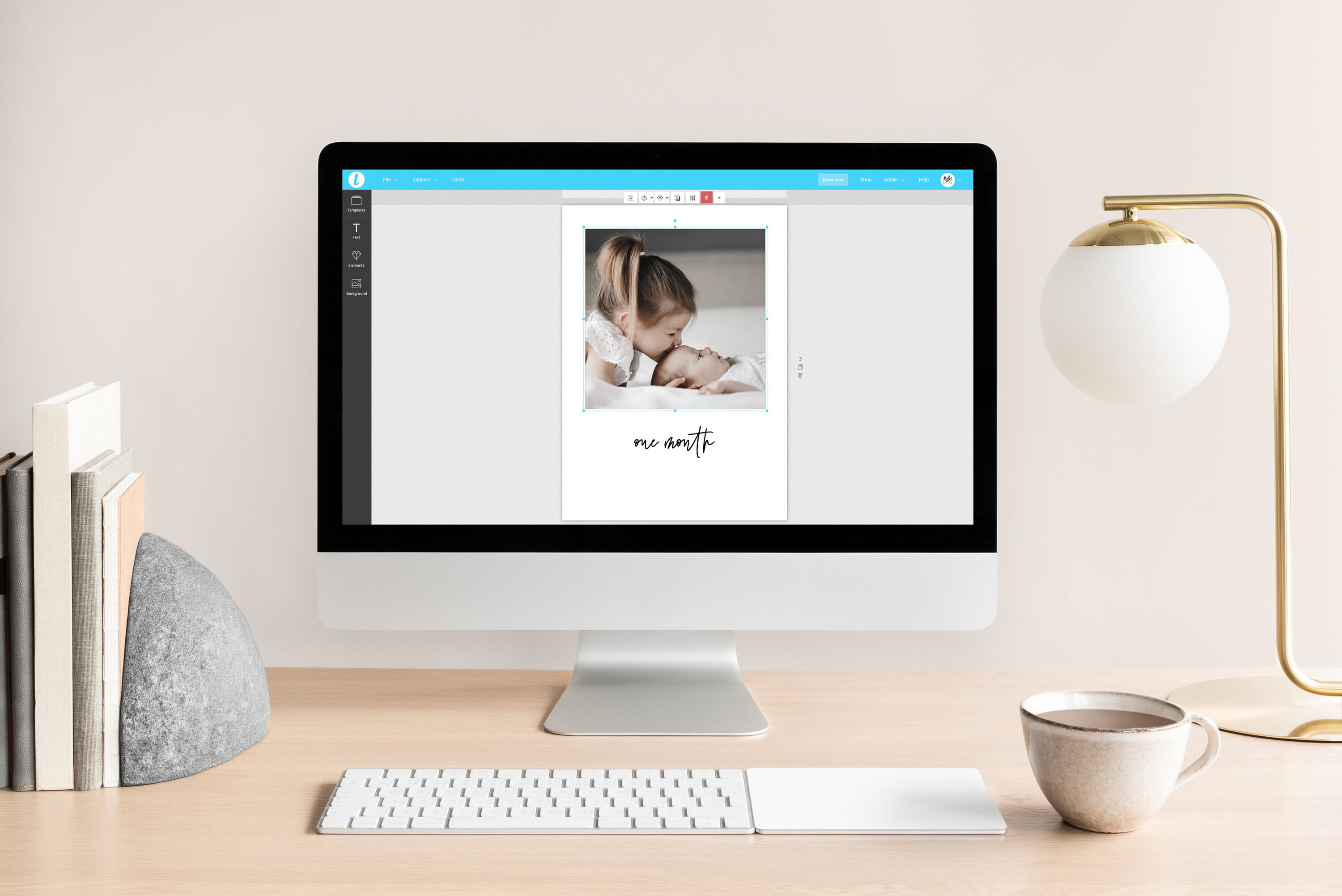 Monthly Baby Photos Template, 1st Birthday Photos, 12 Month Photo ...