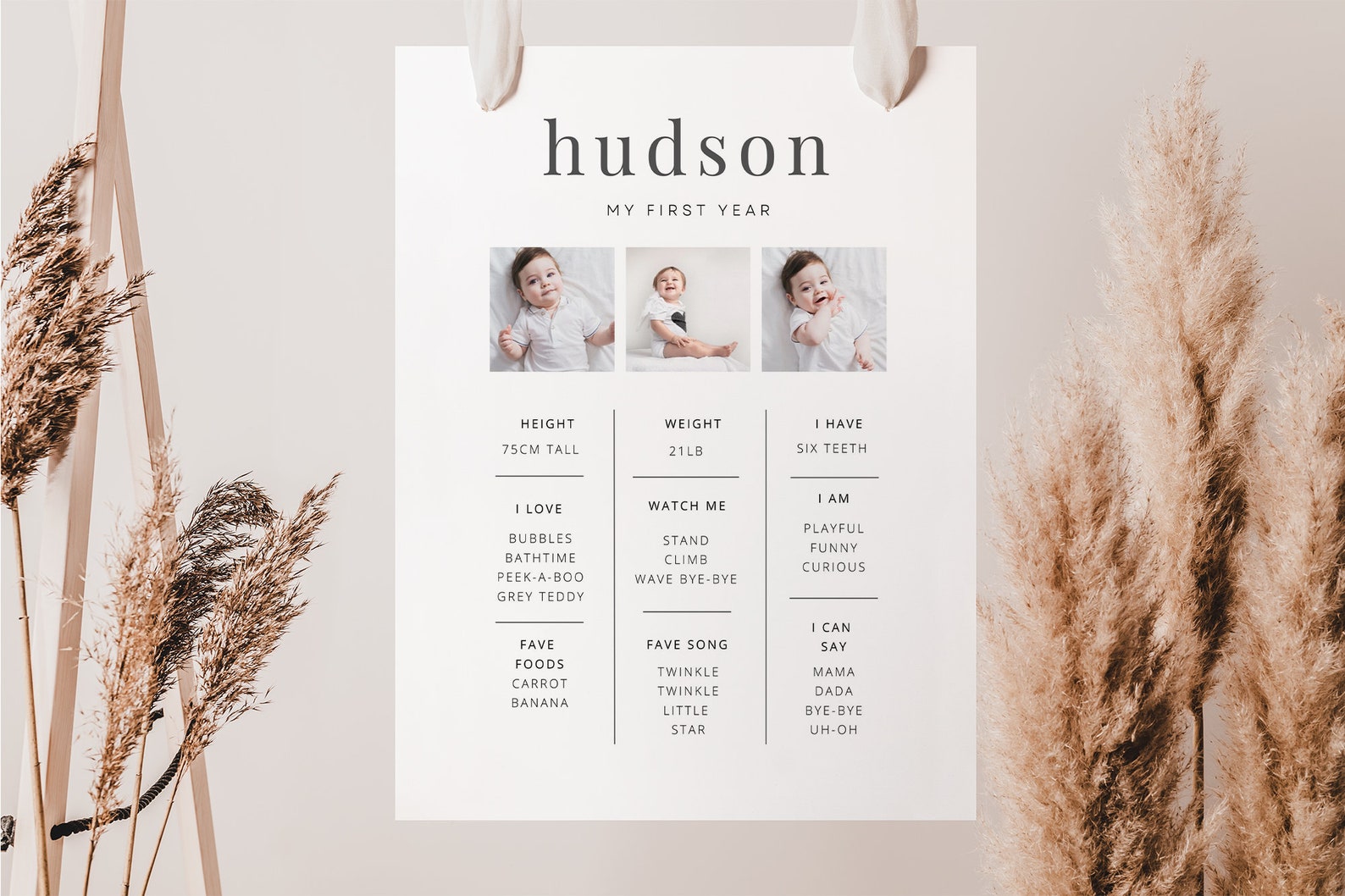 Editable Milestone Poster, Canva Template, 1st Birthday Milestone ...