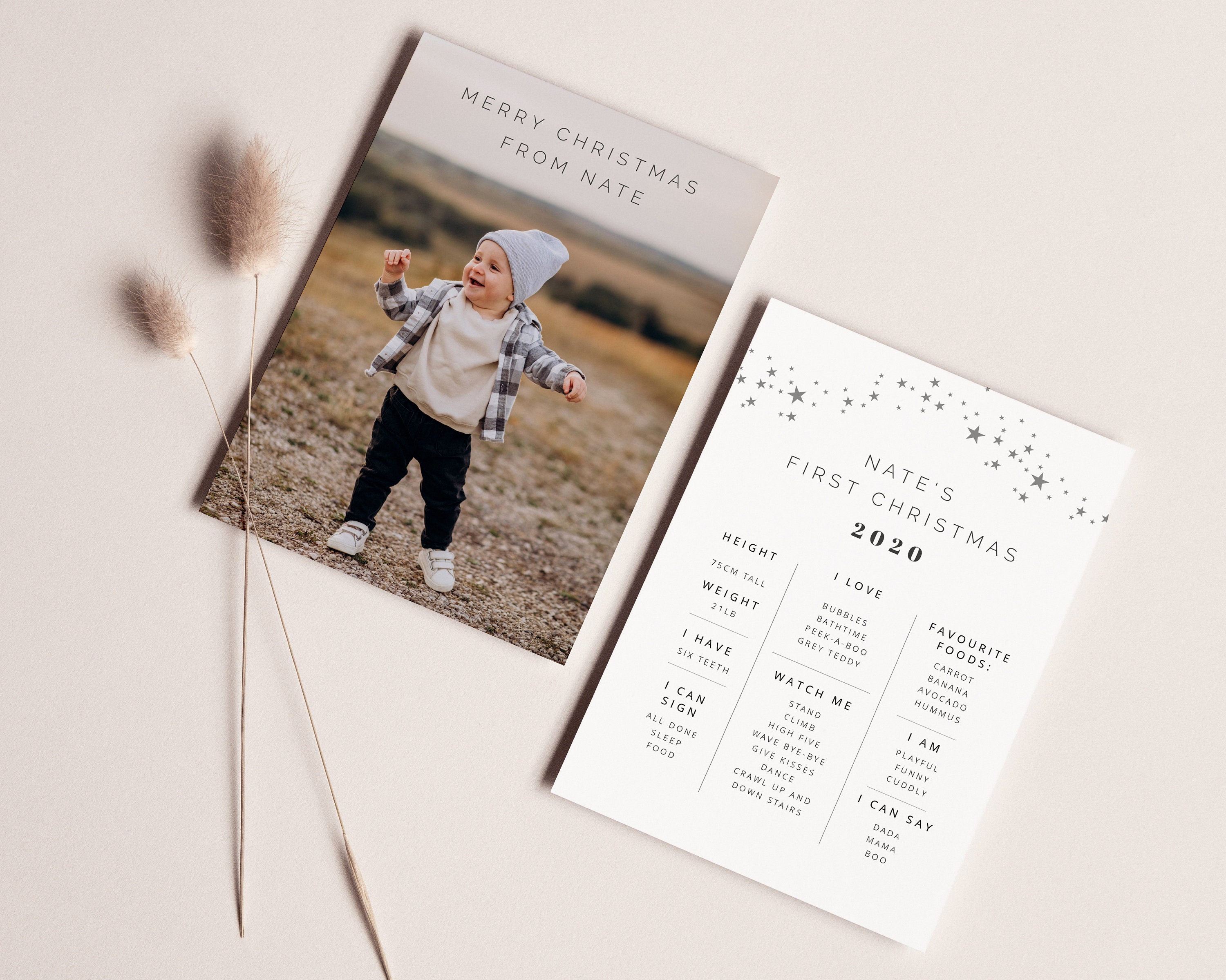 Editable Mini Milestone Card, Babys Christmas Milestone Card, Photo ...