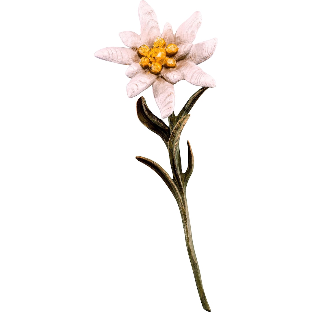 Hand Carved Wooden Edelweiss, Home Decor Statue - Etsy
