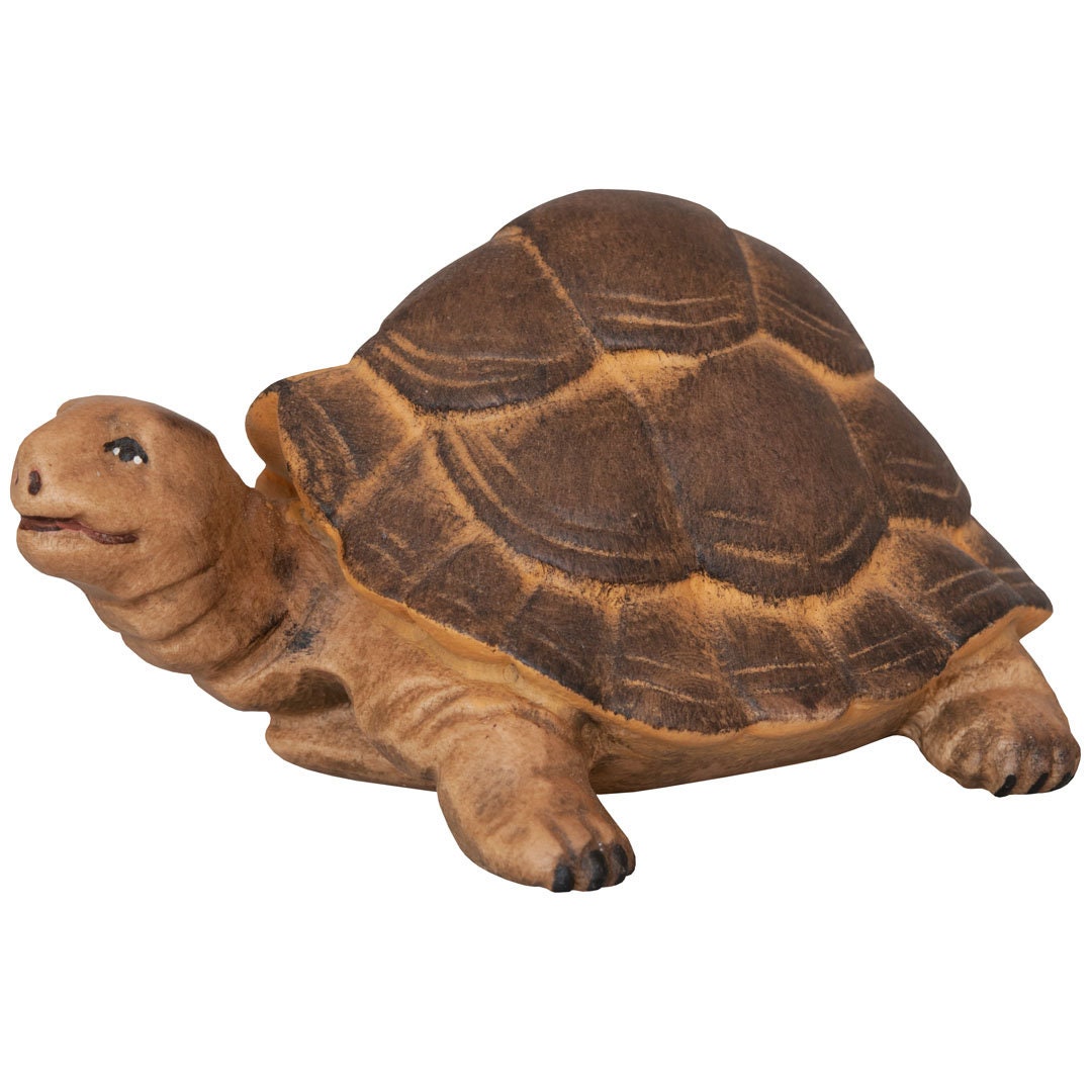 Hand Carved Maple Wood Tortoise Statue – Italian Home Decor - Etsy