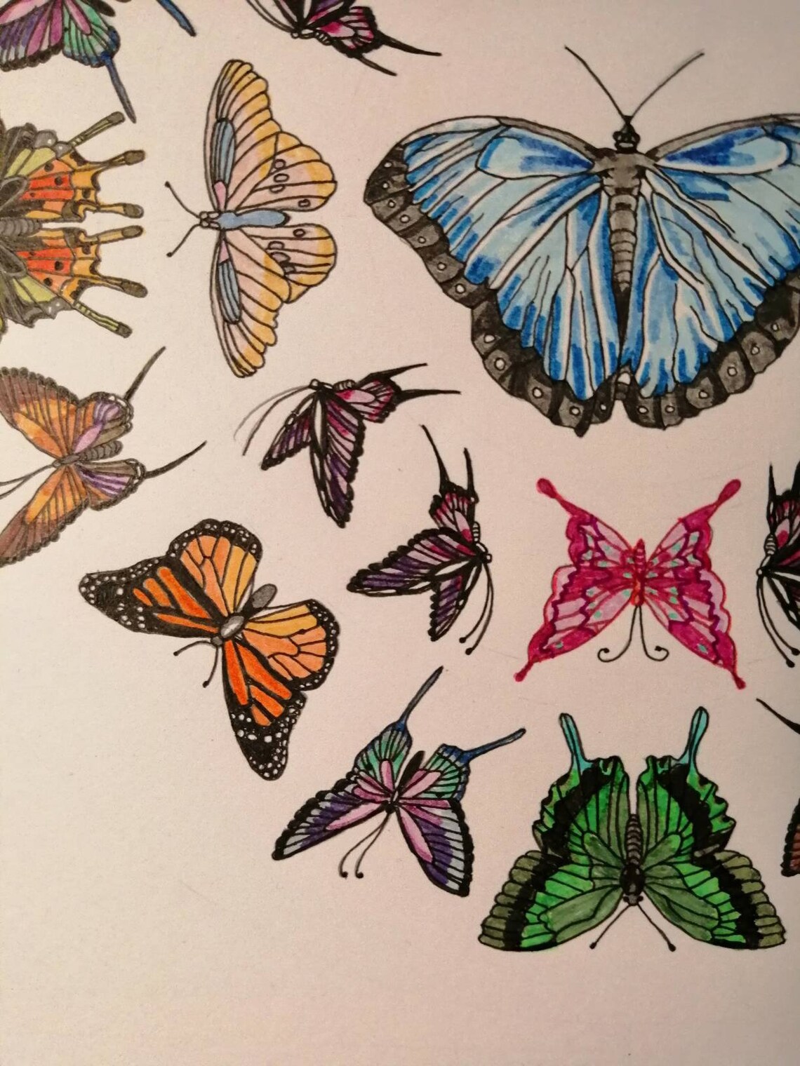 Unframed A3 Size butterfly Effect Graphic - Etsy