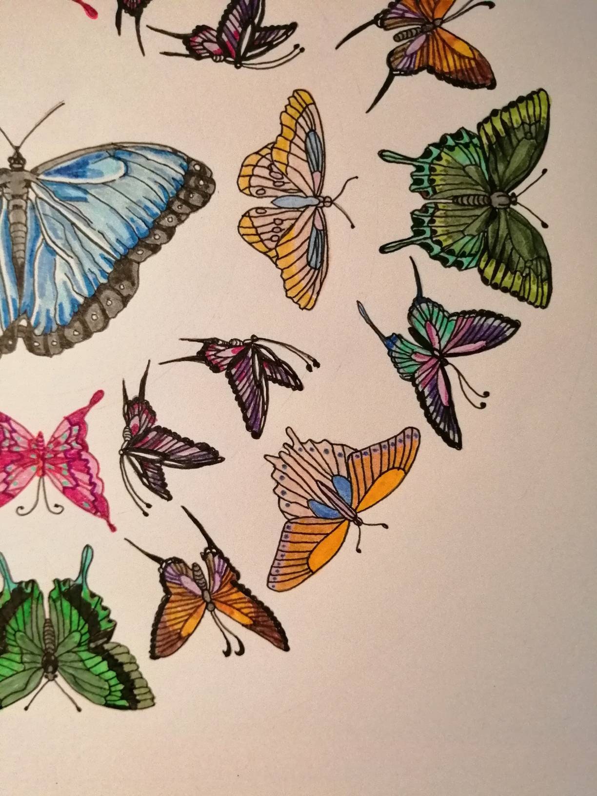 Unframed A3 Size butterfly Effect, Graphic Illustration Tattoo Ink ...