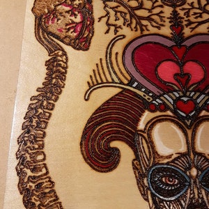Unframed A3 Size Queen of Hearts Using Anatomy and Sugar Skull Tattoo ...