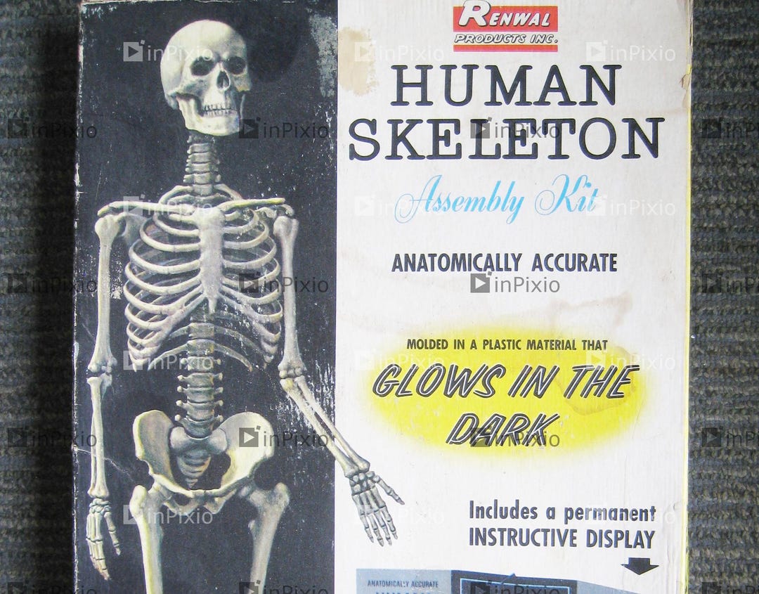 Renwal Products Inc-human Skeleton-assembly Kit-for Parts Only (not A ...