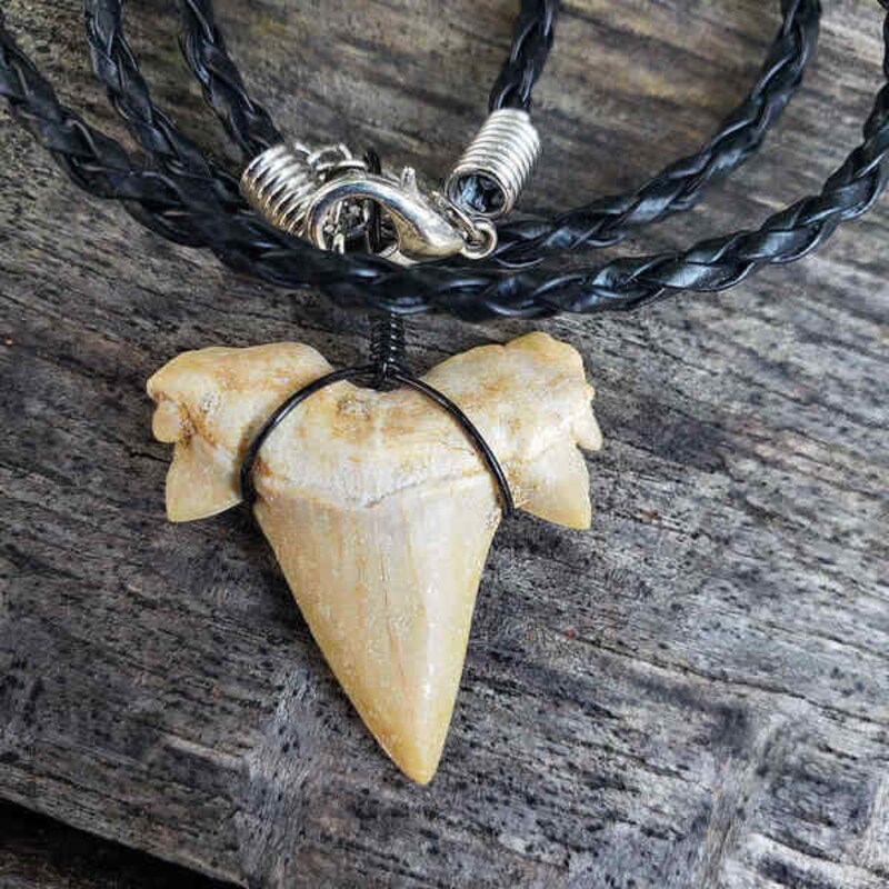 Shark Tooth Necklace - Etsy
