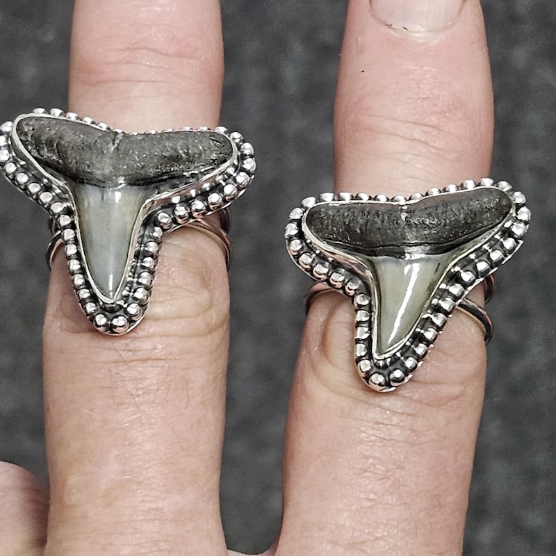 Shark Tooth Ring - Etsy