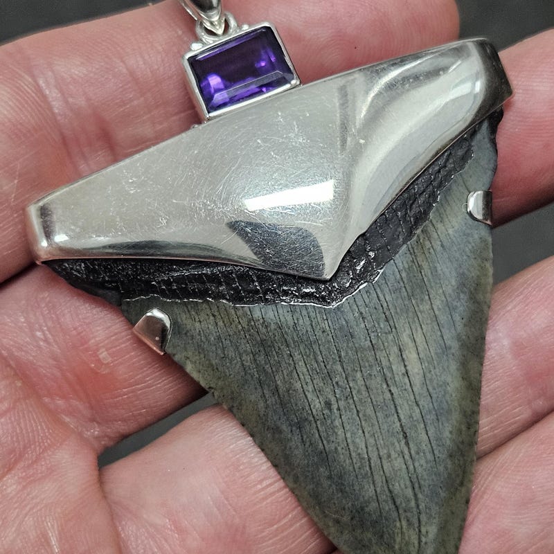 Megalodon Shark Tooth Necklaces - Etsy