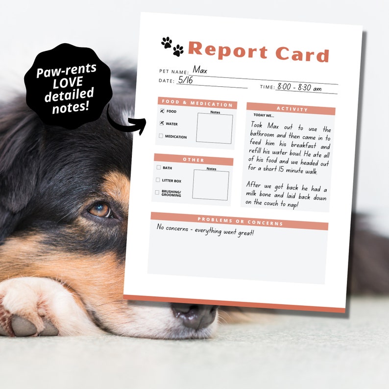 Daily Pet Sitter Visit Form, Pet Sitting PDF Printables, Pet Sitter ...