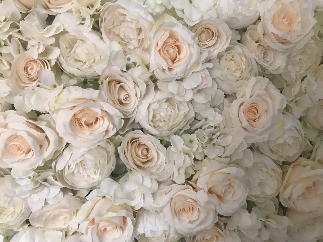 Cream Flower Wall, Blush Flower Wall, Bridal Floral Wall, Flower Wall ...