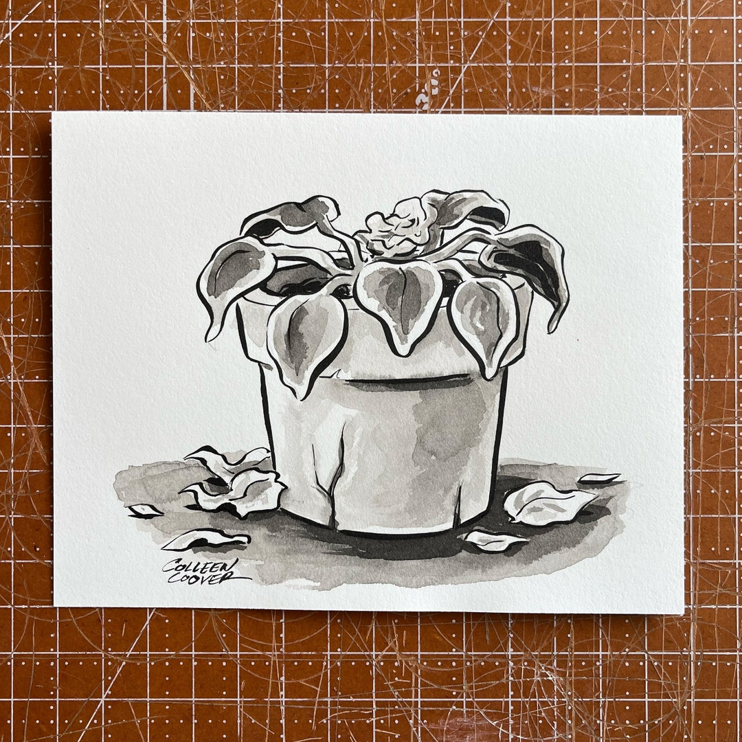 Droopy Plant Ink Wash Art: Small Drawing by Colleen Coover - Etsy