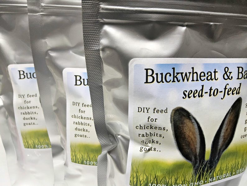 Whole Barley Seed - Organic Animal Feed Grade for Sprouting ...
