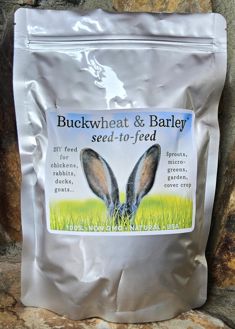Whole Barley Seed - Organic Animal Feed Grade for Sprouting ...
